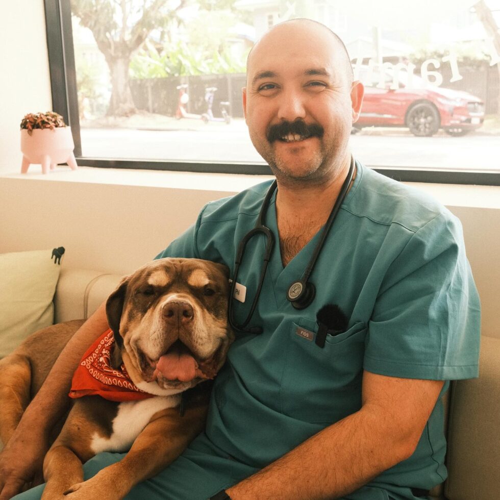 Hey Bud Tour | Vet Clinic In Hawthorne, Queensland 4171