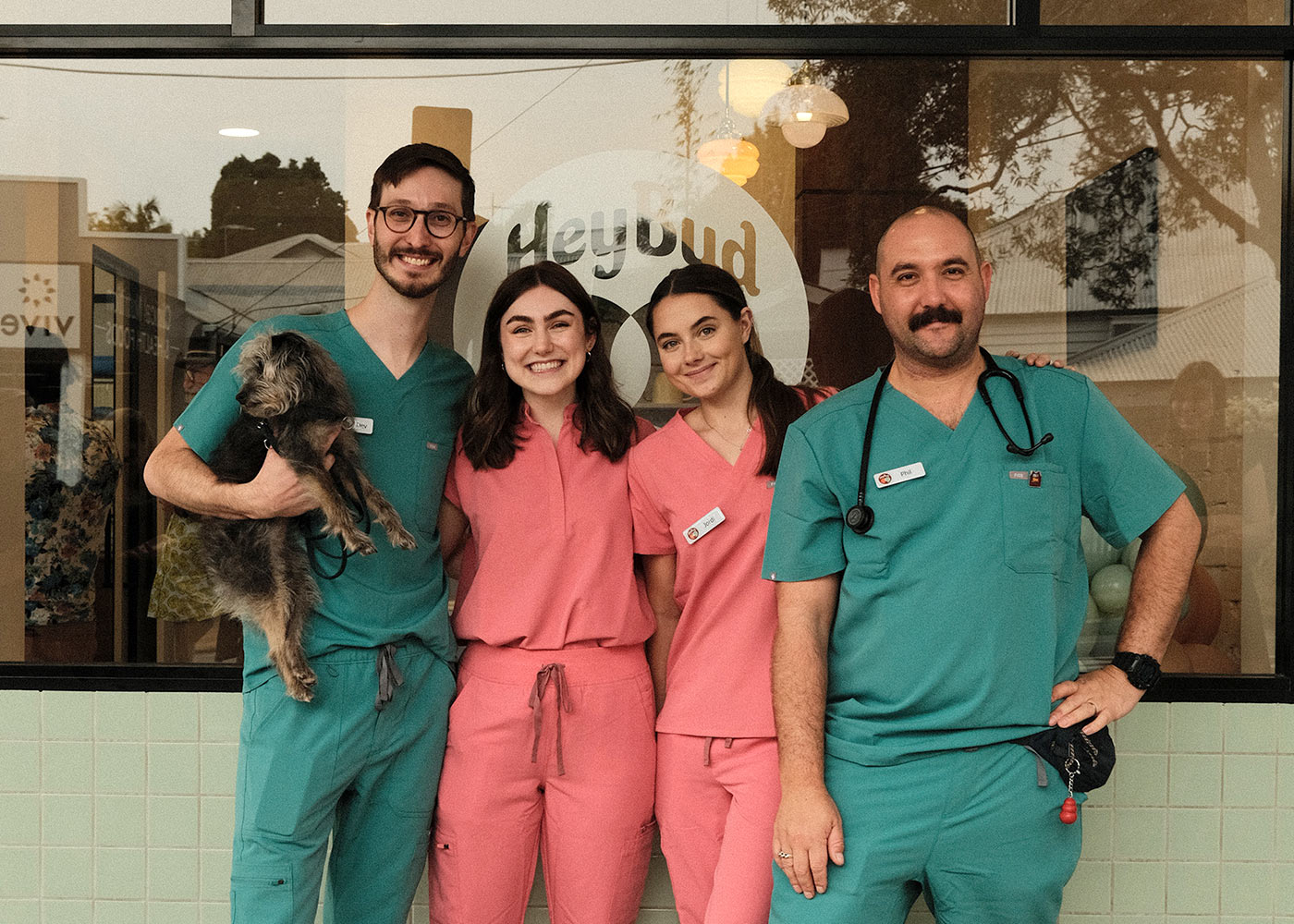 Vet Near Me Hawthorne, Queensland 4171 | Hey Bud